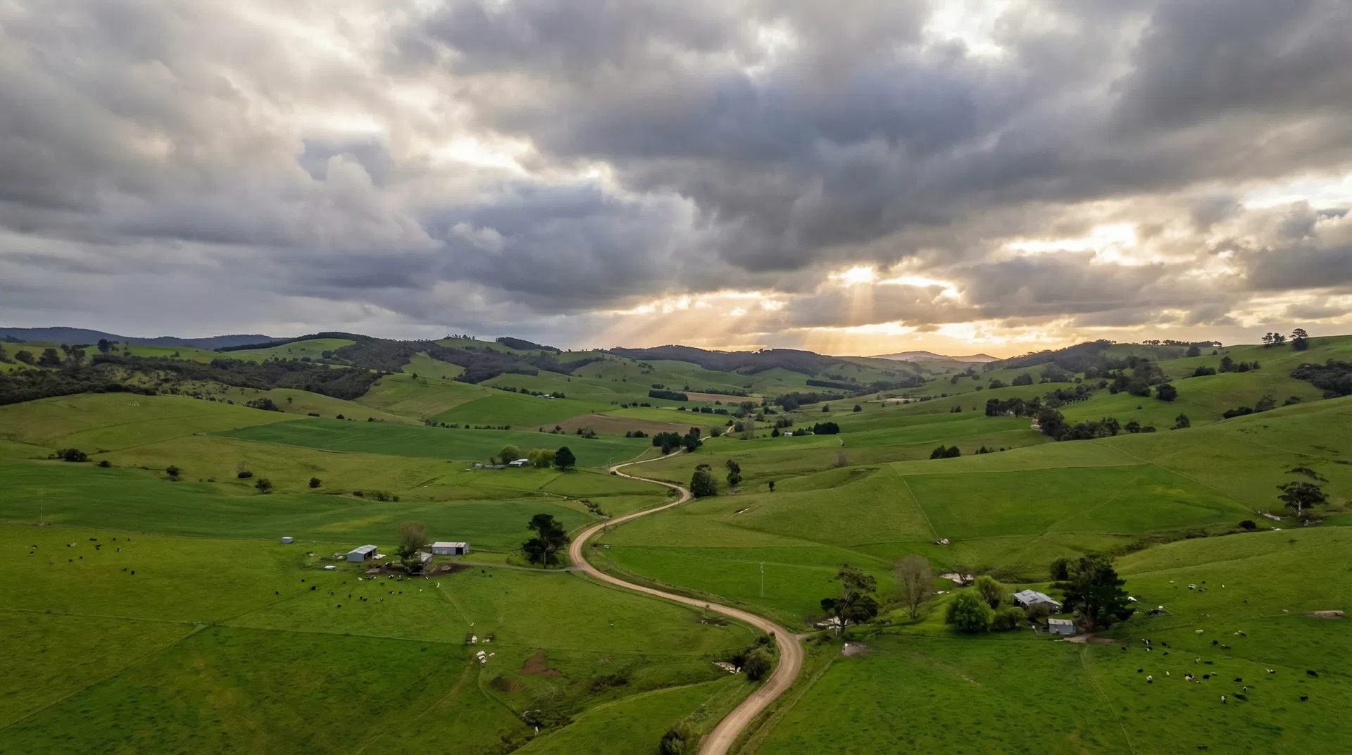 TAS Rego FAQ | Tasmania Vehicle Registration Questions & Regulations
